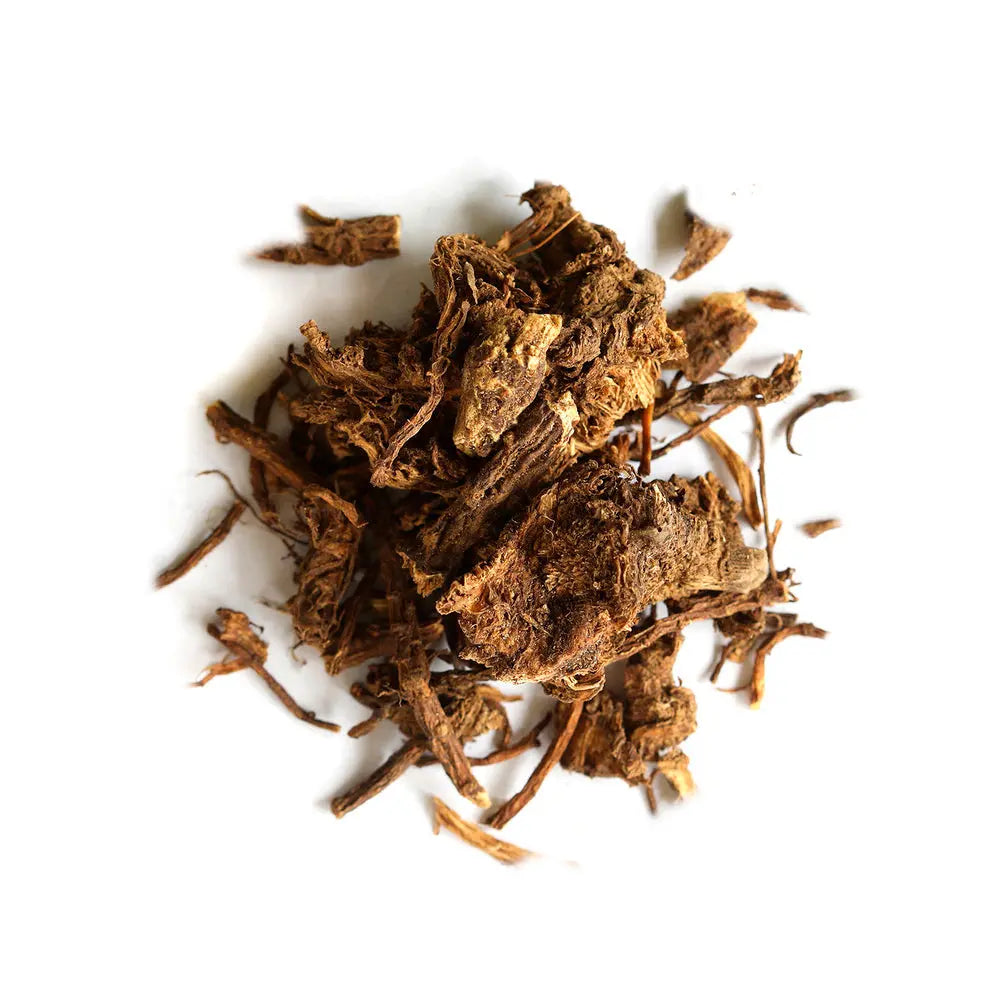 Osha Root | Available at TBE Herbs